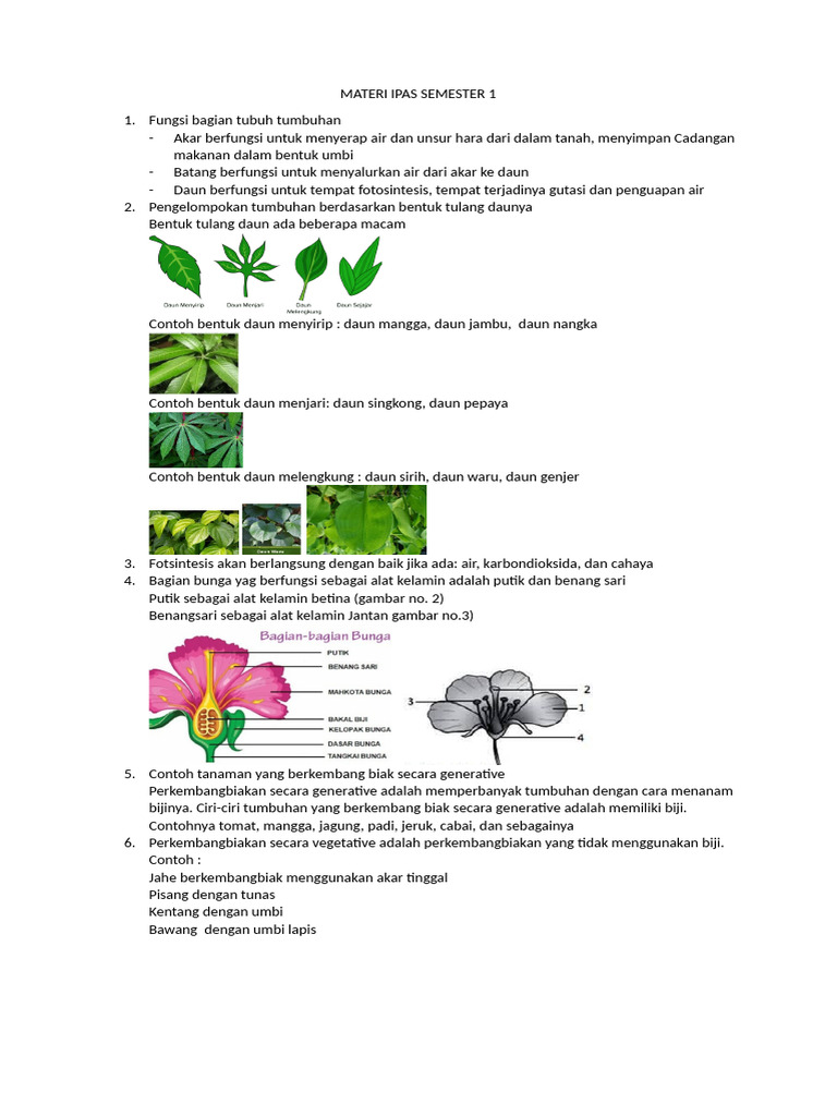 Materi Dan Latihan Soal Ipas Semester 1 | PDF