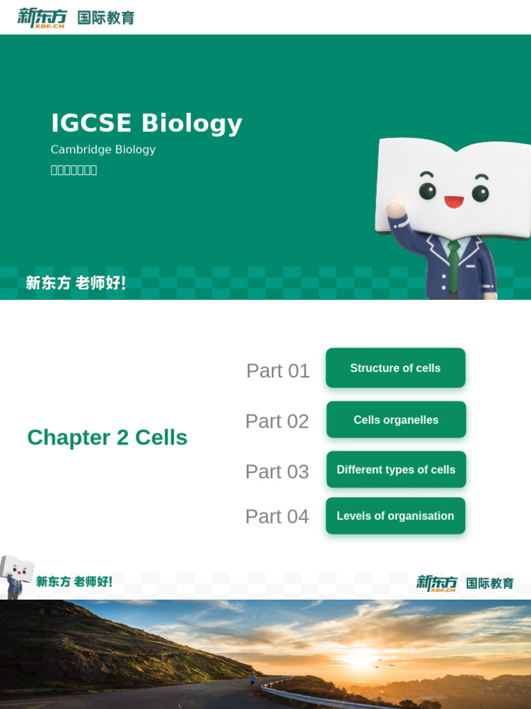 Chapter 2 Cells | PDF | Cell (Biology) | Organelle
