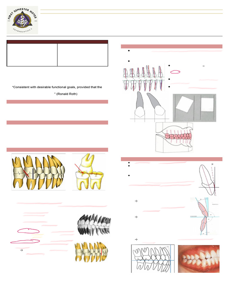 Ortho2 Lecture2 Keys-Of-Occlusion | PDF | Dentistry Branches | Dental ...