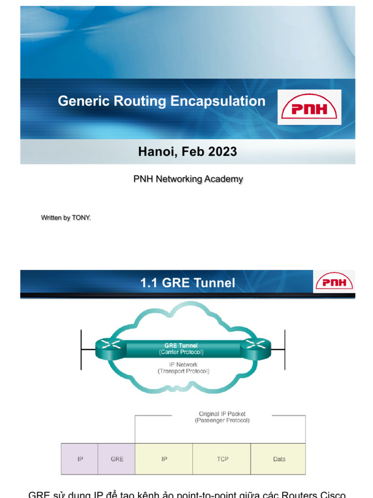 Session-08. GRE Tunnel | PDF