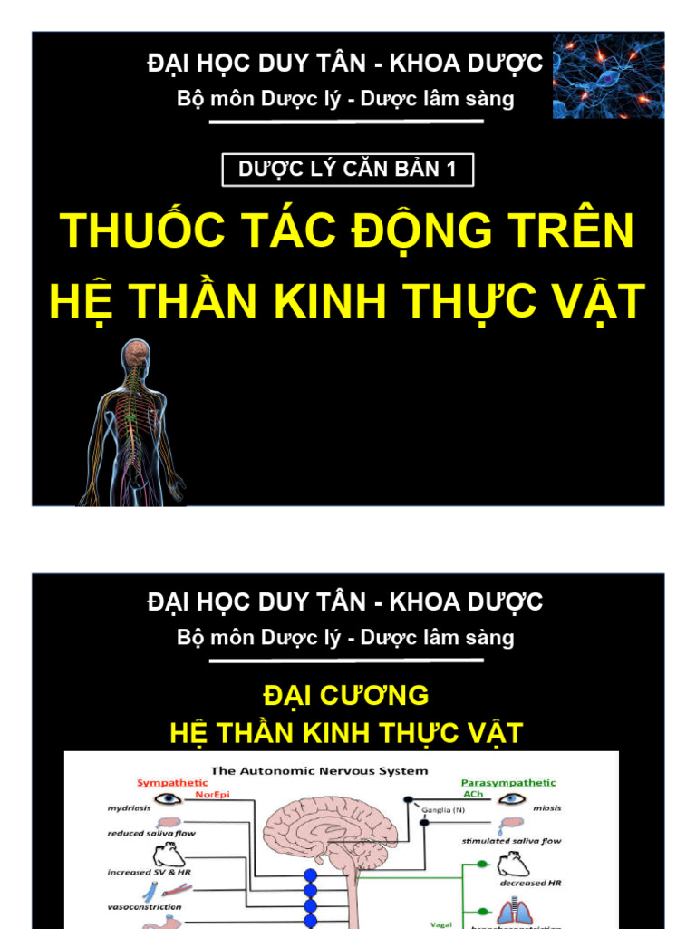 Đ I CƯƠNG TKTV - TT | PDF