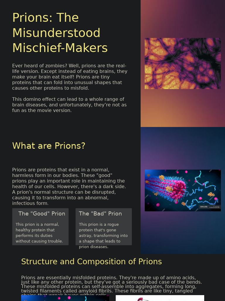 Prions | PDF | Diseases And Disorders | Nervous System