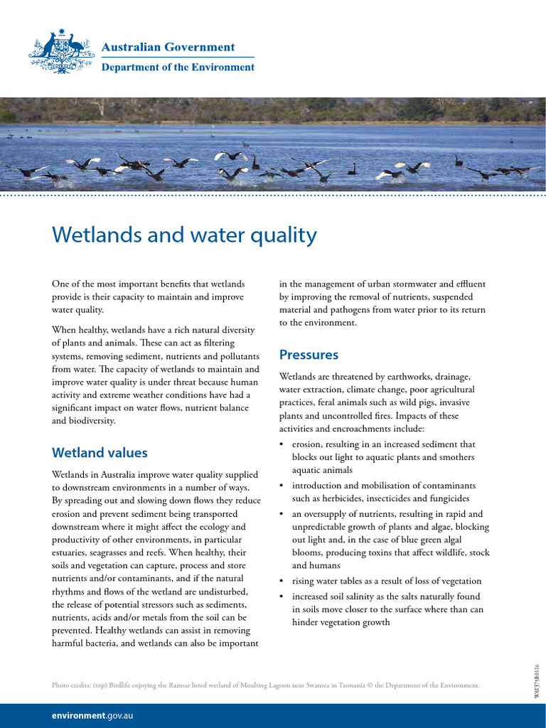 Factsheet Wetlands Water Quality | PDF | Wetland | Water Pollution