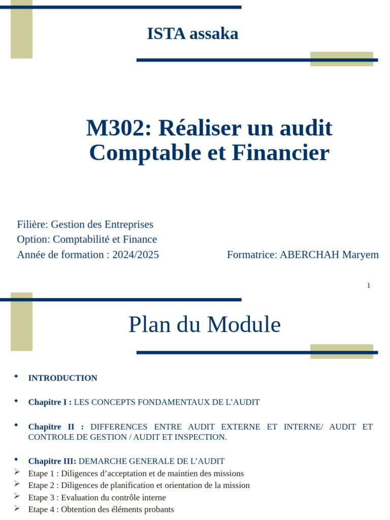 Cours D'audit (Intro - Chap1-Chap2) | PDF | Audit financier | Audit