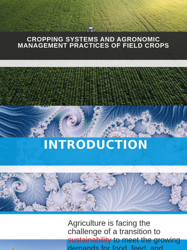 Cropping Systems and Agronomic Management Practices of Field | PDF ...