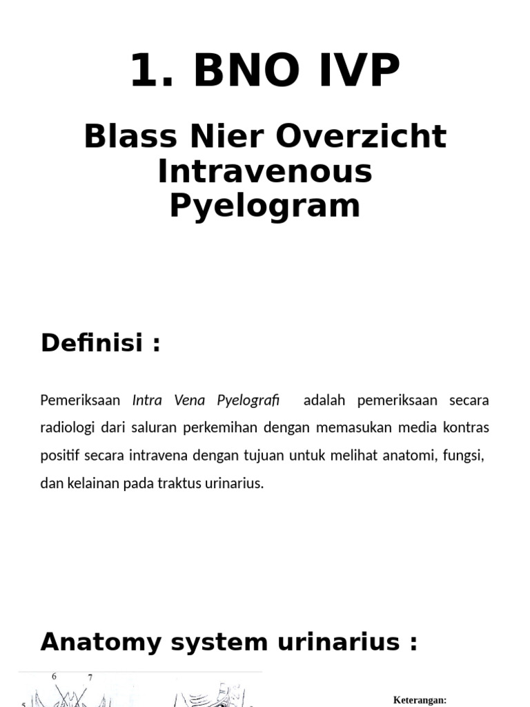 Tekrad 3 - Bno Ivp, Uretrografi, Uretrocystografi | PDF
