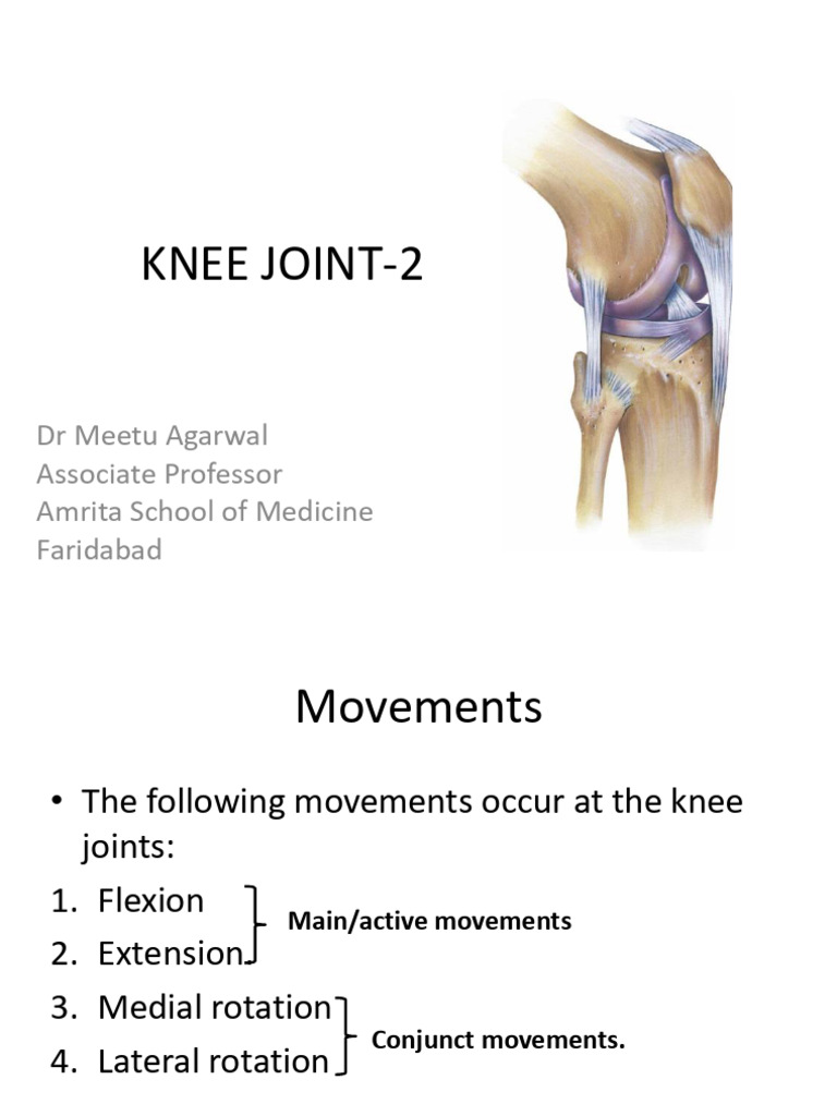 Knee Joint-2 | PDF | Knee | Anatomical Terms Of Motion