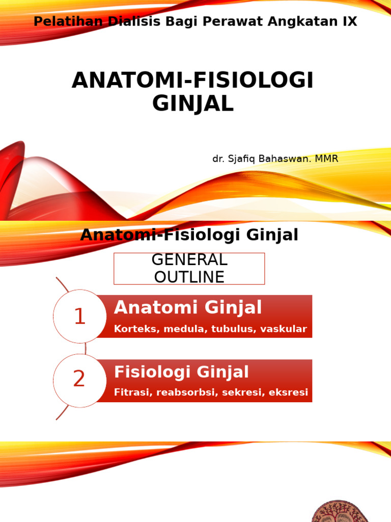 1.Anatomi-Fisiologi Ginjal | PDF
