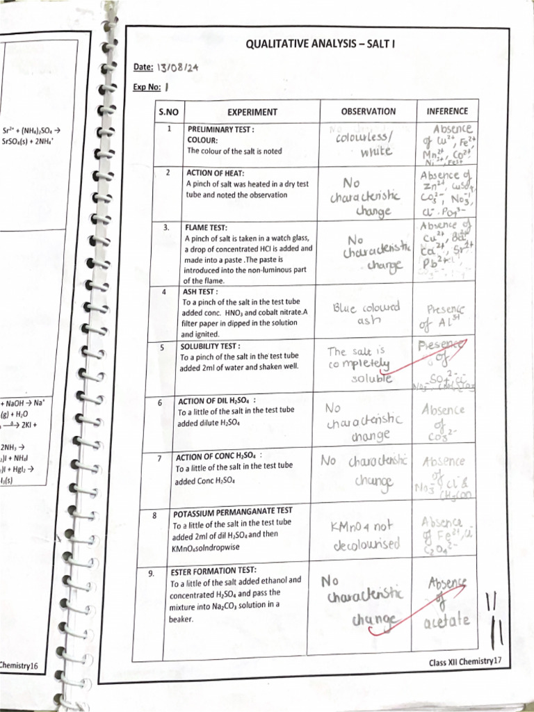 Chem Record | PDF