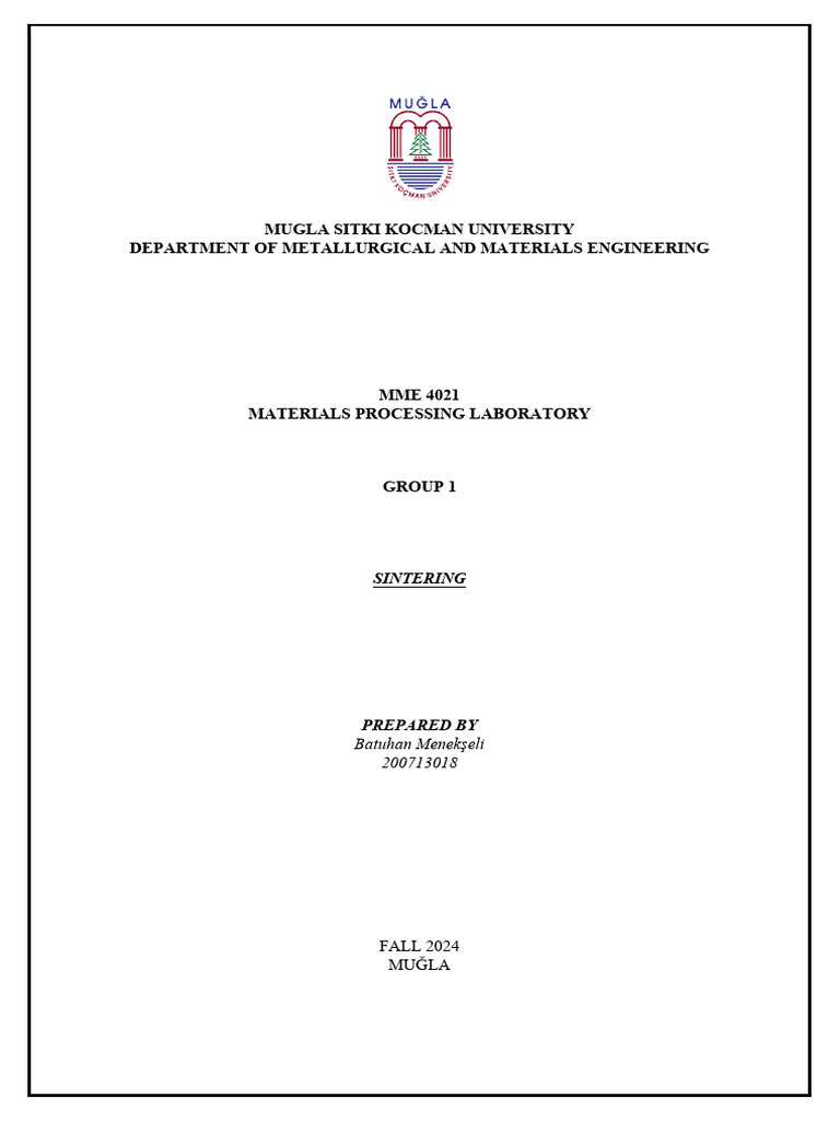 Exp3 Batuhan Menekseli Group1 | PDF | Sintering | Chemistry