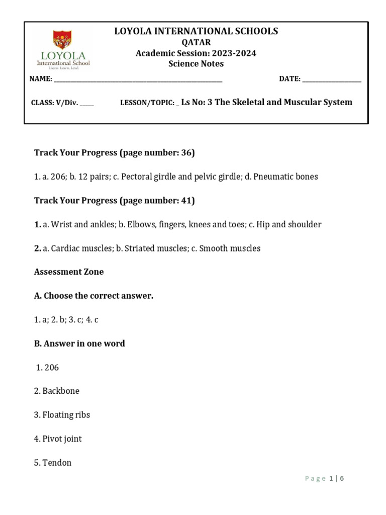 Loyola International Schools | PDF | Muscle | Bone