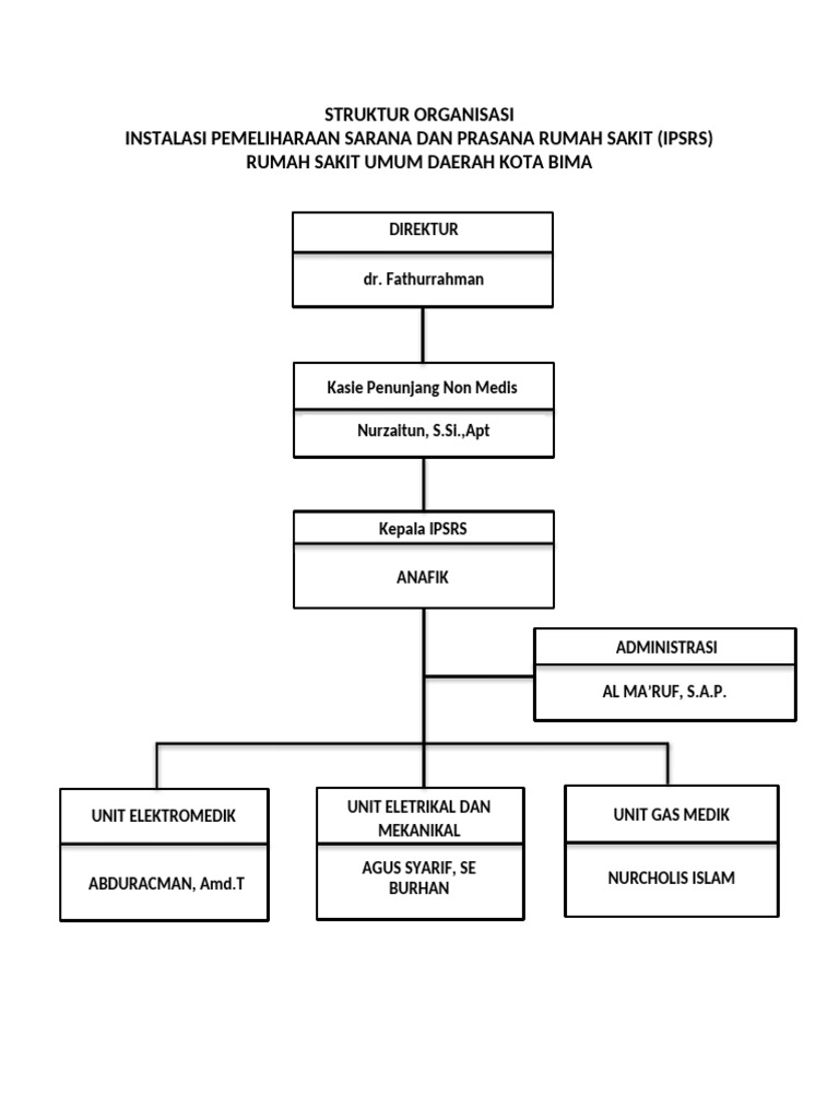 Struktur Organisasi Ipsrs | PDF