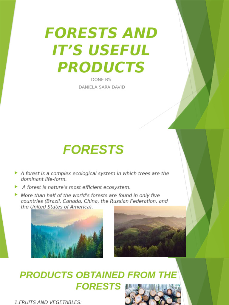 Forests and It's Useful Products | PDF