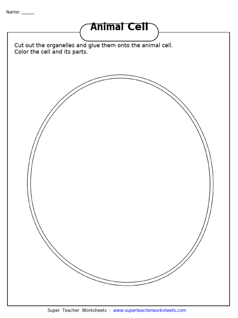 Animal Cell Cutout | PDF