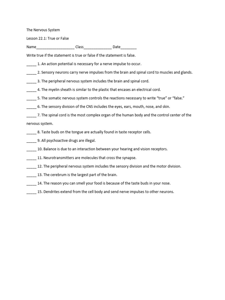 Assignment 2 | PDF | Neuron | Nervous System