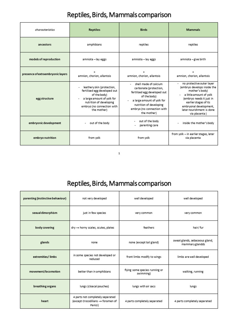 Reptiles Birds Mammals Comparison Filled | PDF | Reptile | Egg