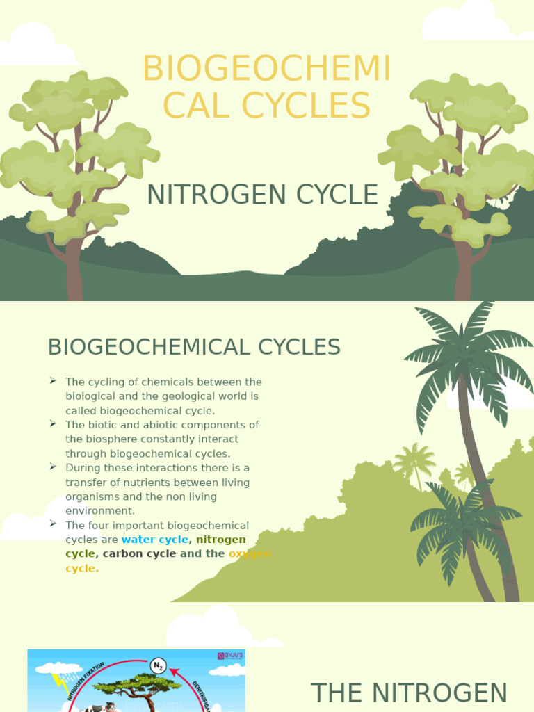Understanding the Nitrogen Cycle | PDF