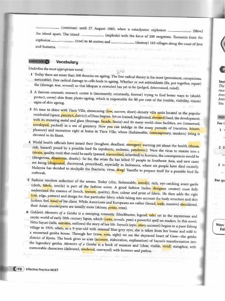 Vocabulary Practice | PDF