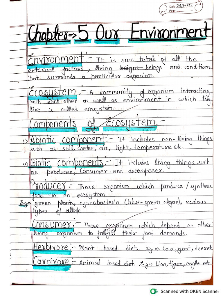 Our Environment Notes Class 10th | PDF