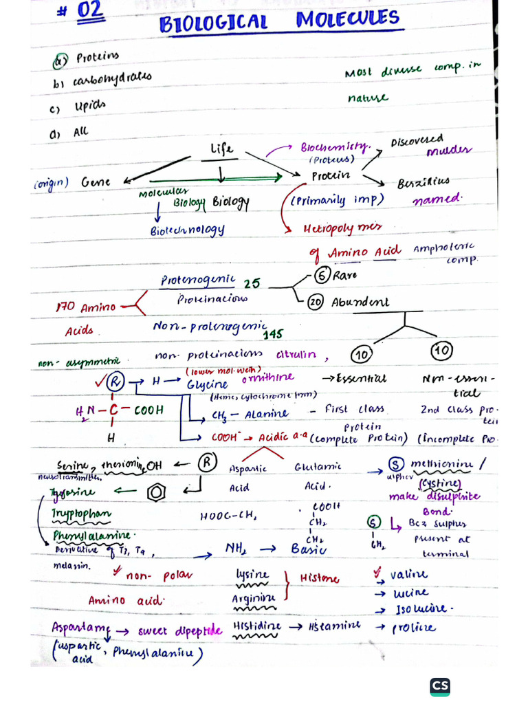 Biological Molecules | PDF