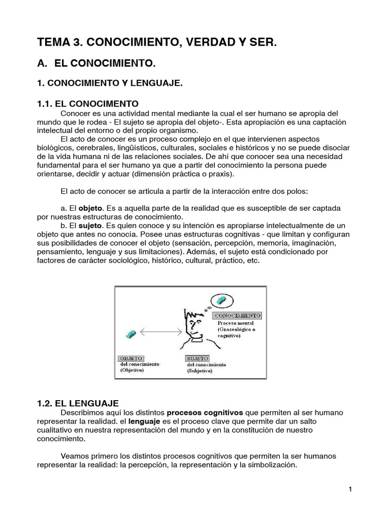 Conocimiento y Lenguaje: Perspectivas Filosóficas | PDF | Verdad | Teoría de sustancias