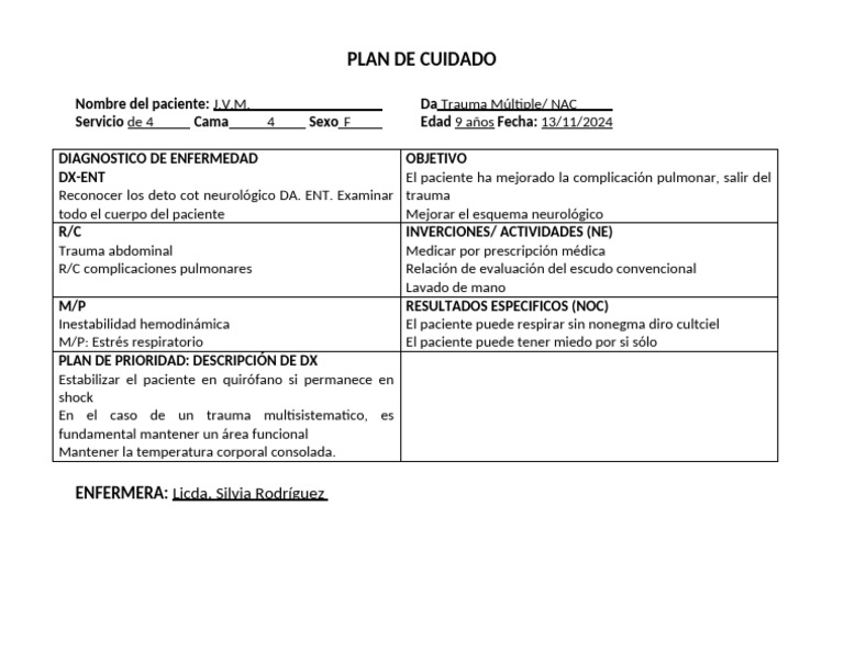 Plan de Cuidado | PDF