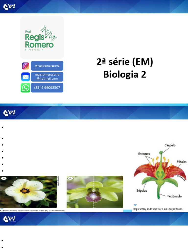 Morfologia e Anatomia Da Flor | PDF | Flores | Morfologia vegetal
