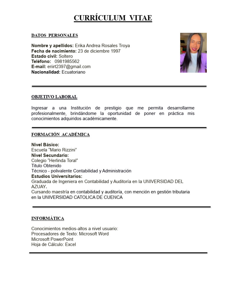 CV Actualizado | PDF | Contador | Contabilidad