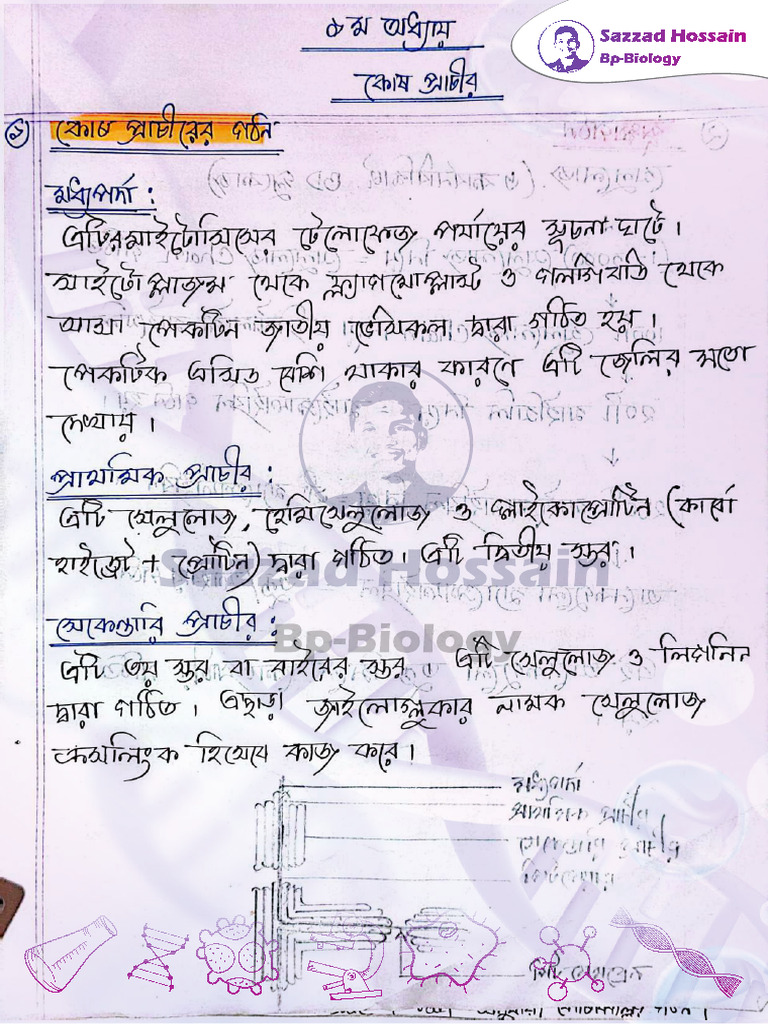 1st Chapter - Compressed | PDF