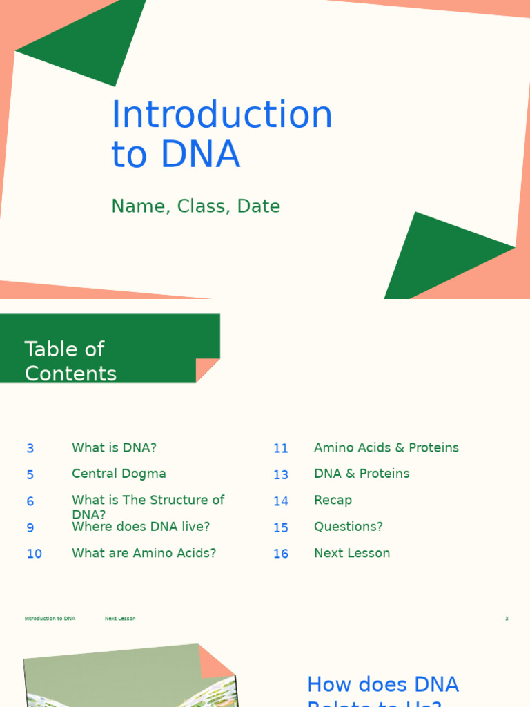 Introduction To DNA | PDF | Proteins | Nutrients