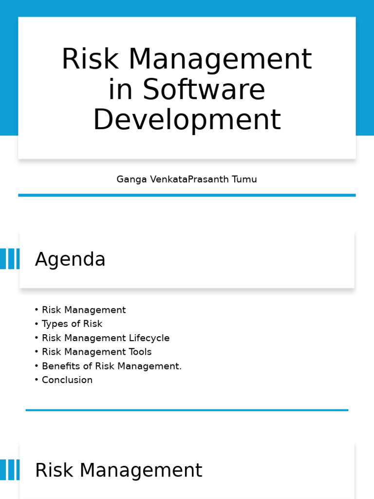 Risk Management Pdf Risk Management Risk