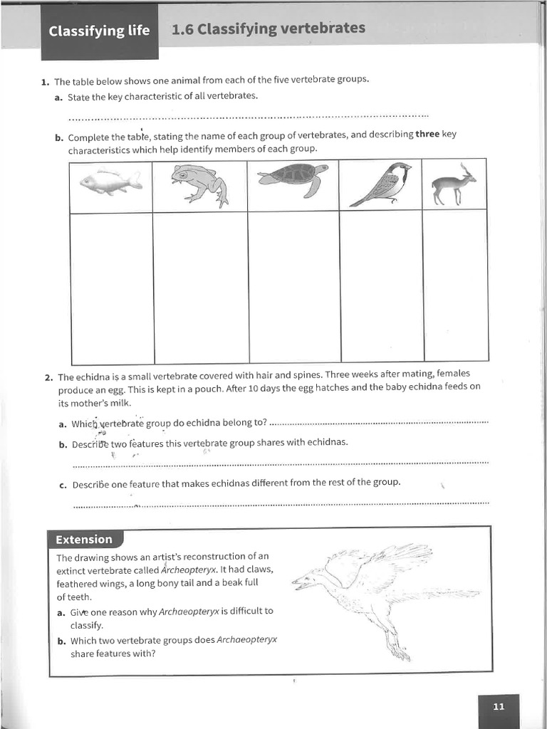 Vertebrates | PDF