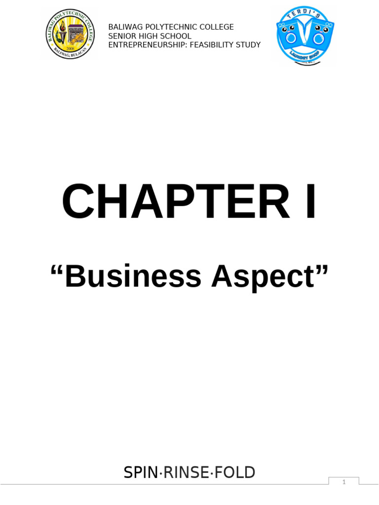 Feasib 1 | PDF | Entrepreneurship | Laundry