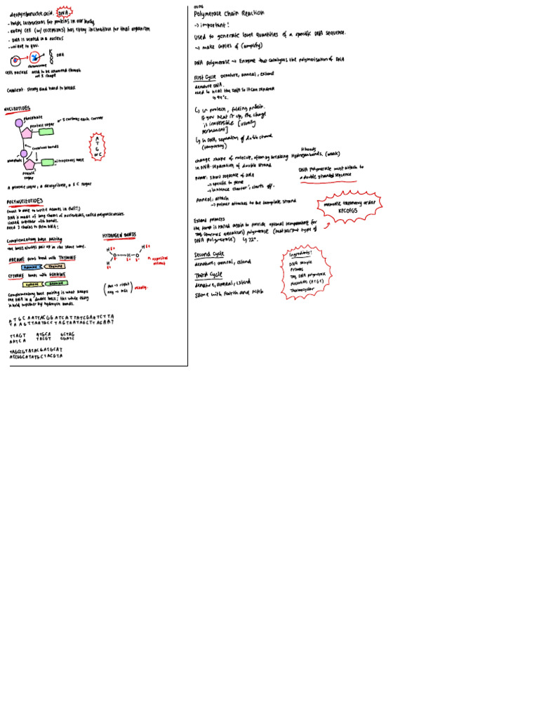 Biot 1 | PDF | Dna | Nucleic Acid Thermodynamics
