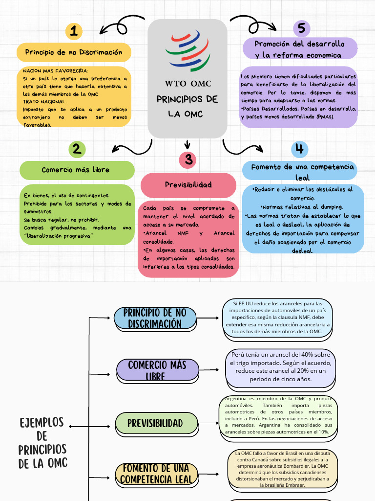 Principios Clave de la OMC: No Discriminación | PDF | Organización de ...