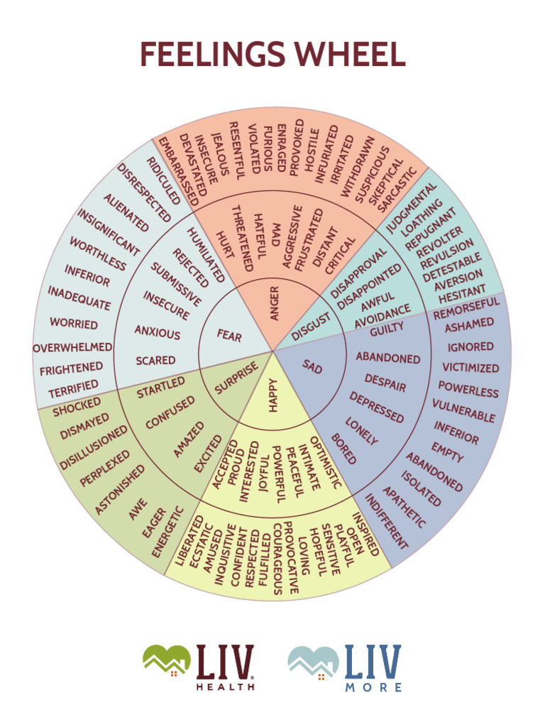 Emotions Wheel: Comprehensive List | PDF