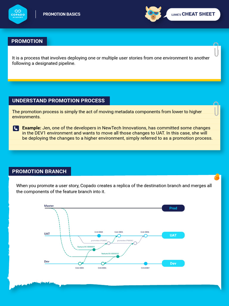 Promotion Basics in Metadata Pipeline Cheat Sheet | PDF | Computing | Software