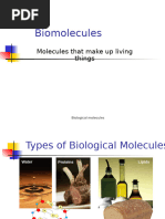 CHNOPS The Elements of Life | PDF