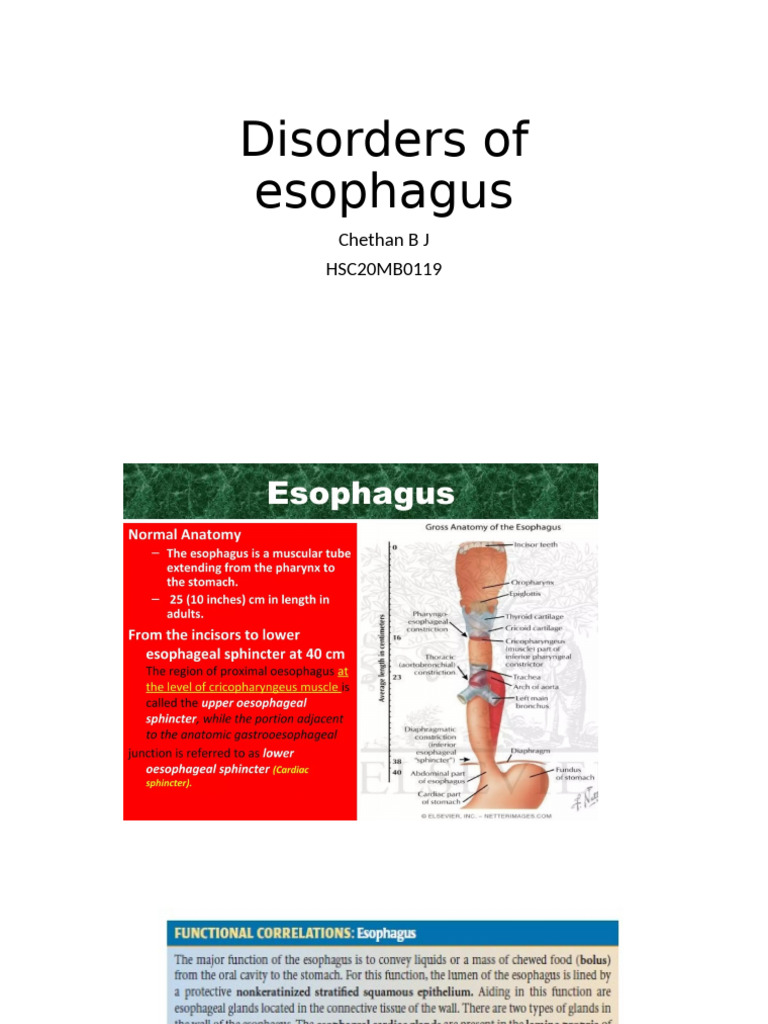 Disorders of Esophagus: Chethan B J HSC20MB0119 | PDF