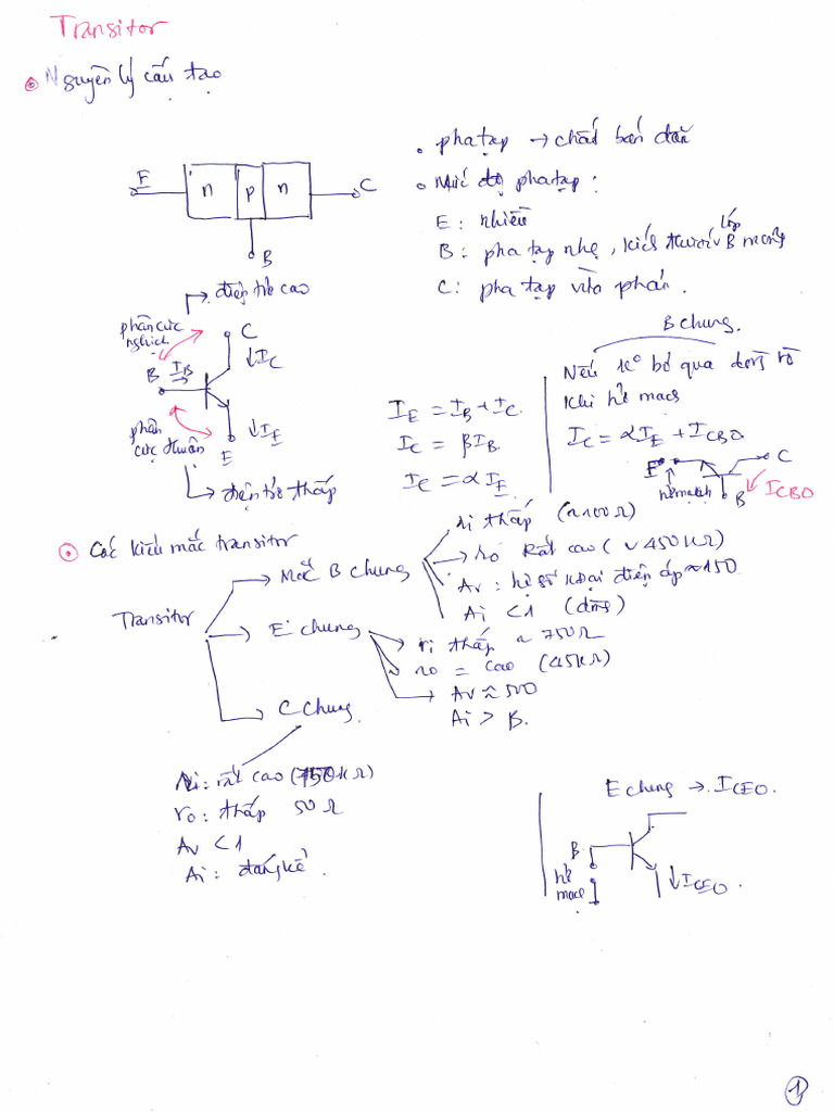 OnTap LuuY Transitor | PDF