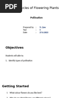 Pollination Worksheet Stage 5 Worksheet | PDF | Pollination | Science