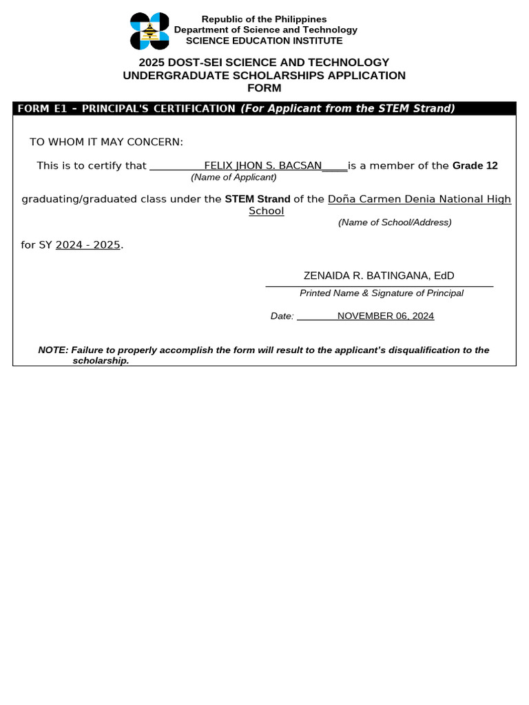2025 DOST SEI ST Undergraduate Application Form E1 Final | PDF