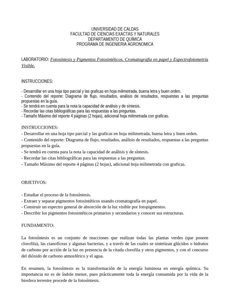 Espectrofotometria Nivel Fotosintetico Pdf Fotosíntesis Plantas