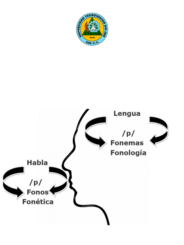 Fonética Articulatoria en Español | PDF | Fonética | Voz humana