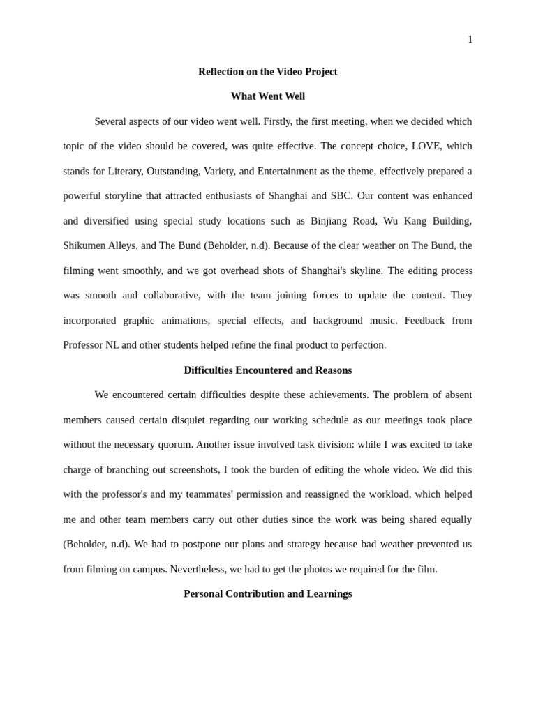 Reflection On Video Project. | PDF