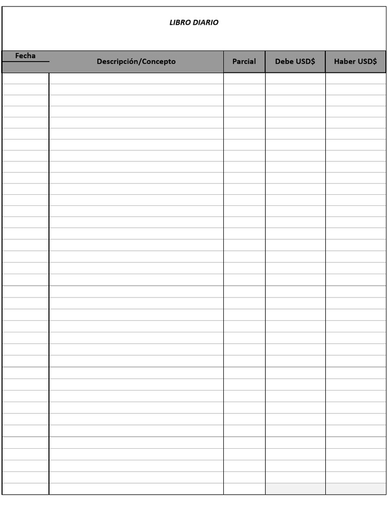 Libro Diario | PDF