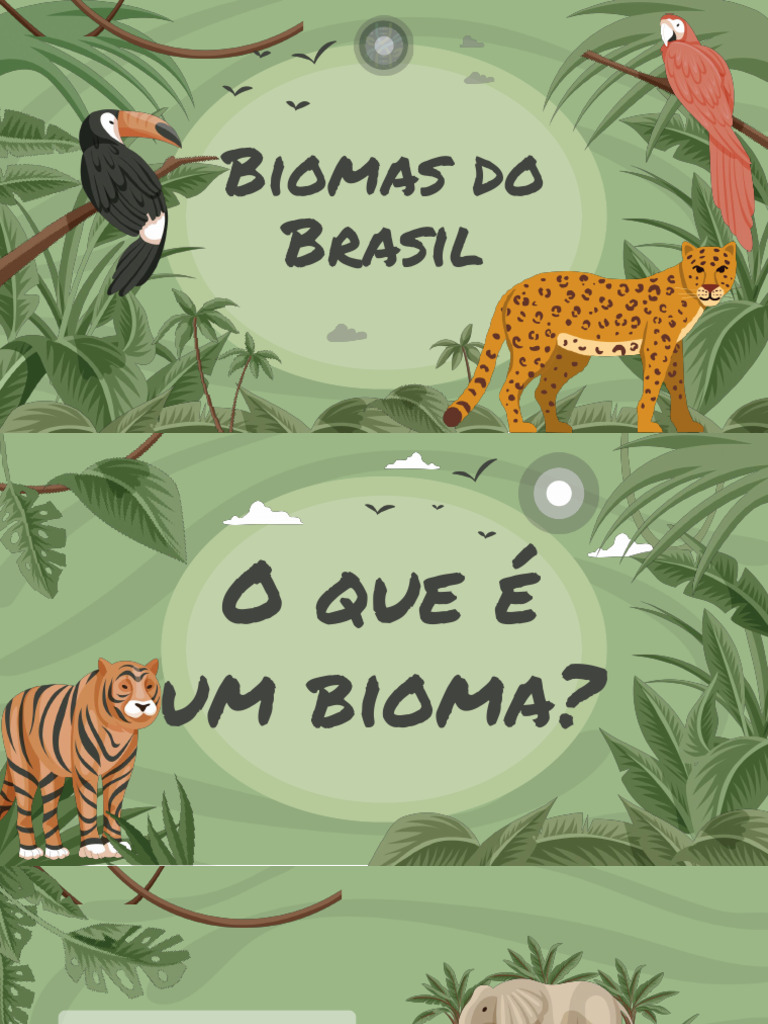 Aula - Biomas Brasileiros | PDF | Floresta Amazônica | Pasto
