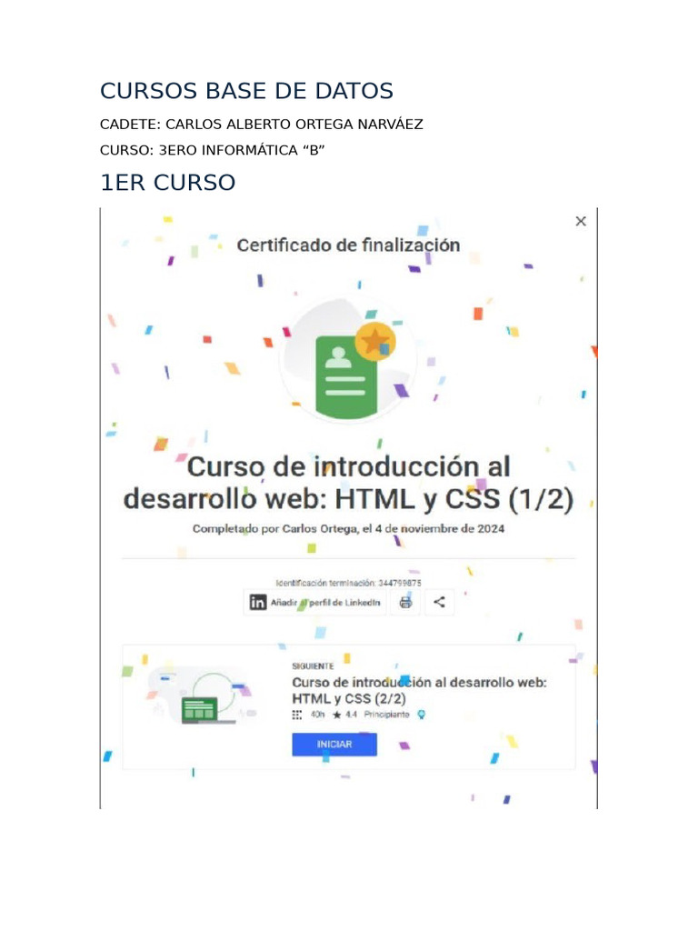 Cursos Base de Datos | PDF