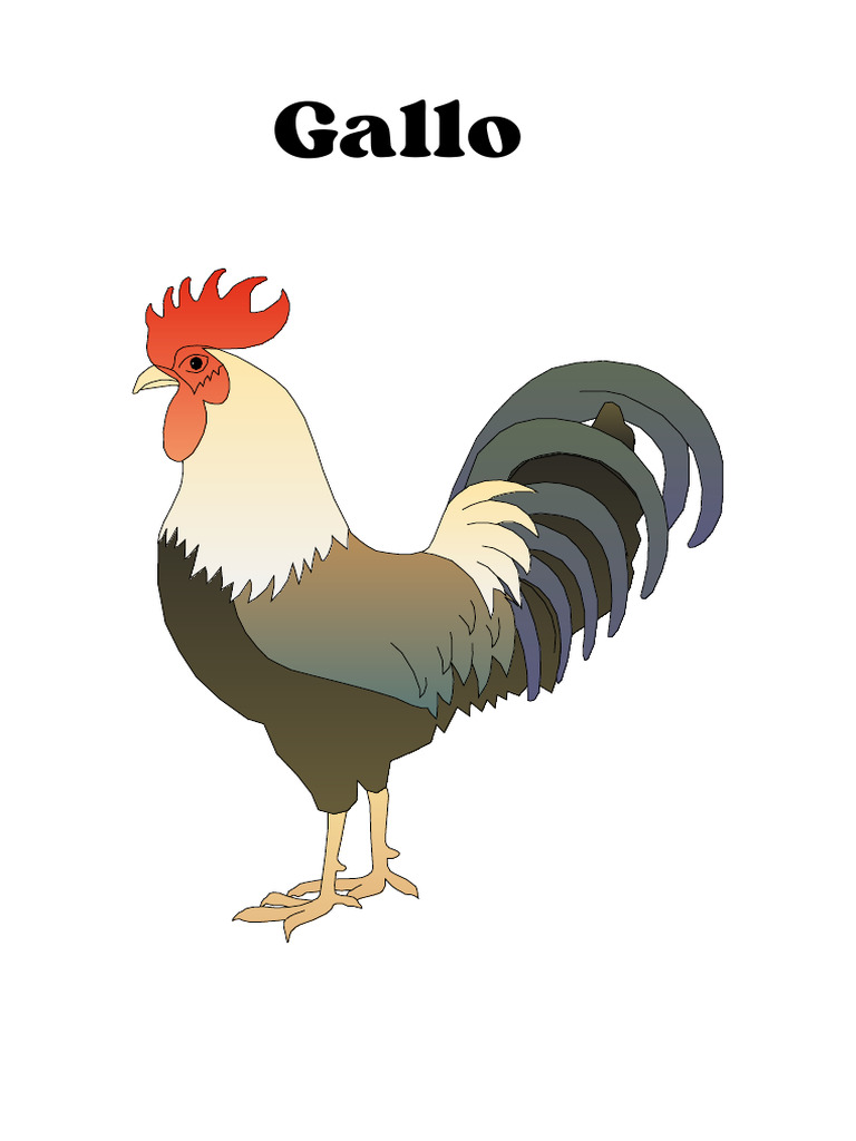 Proyecto de Gallo | PDF