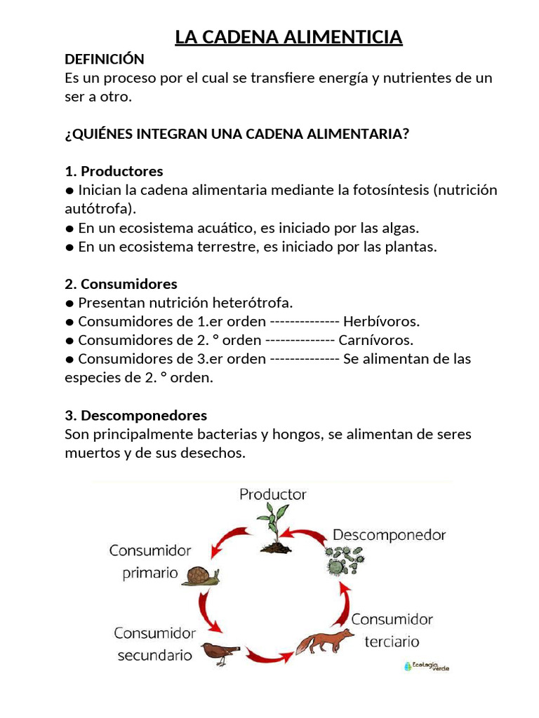 Estructura de la Cadena Alimenticia | PDF